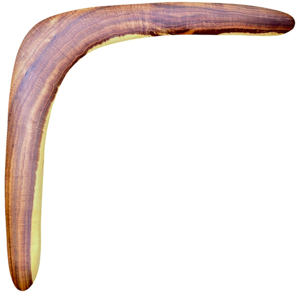 Authentic Aboriginal Hardwood Boomerang – Handcrafted by Michael Walke ...