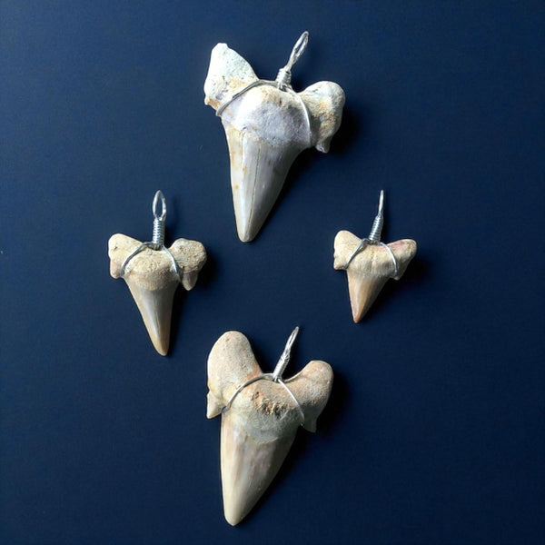 Unique Items - Planet Corroboree