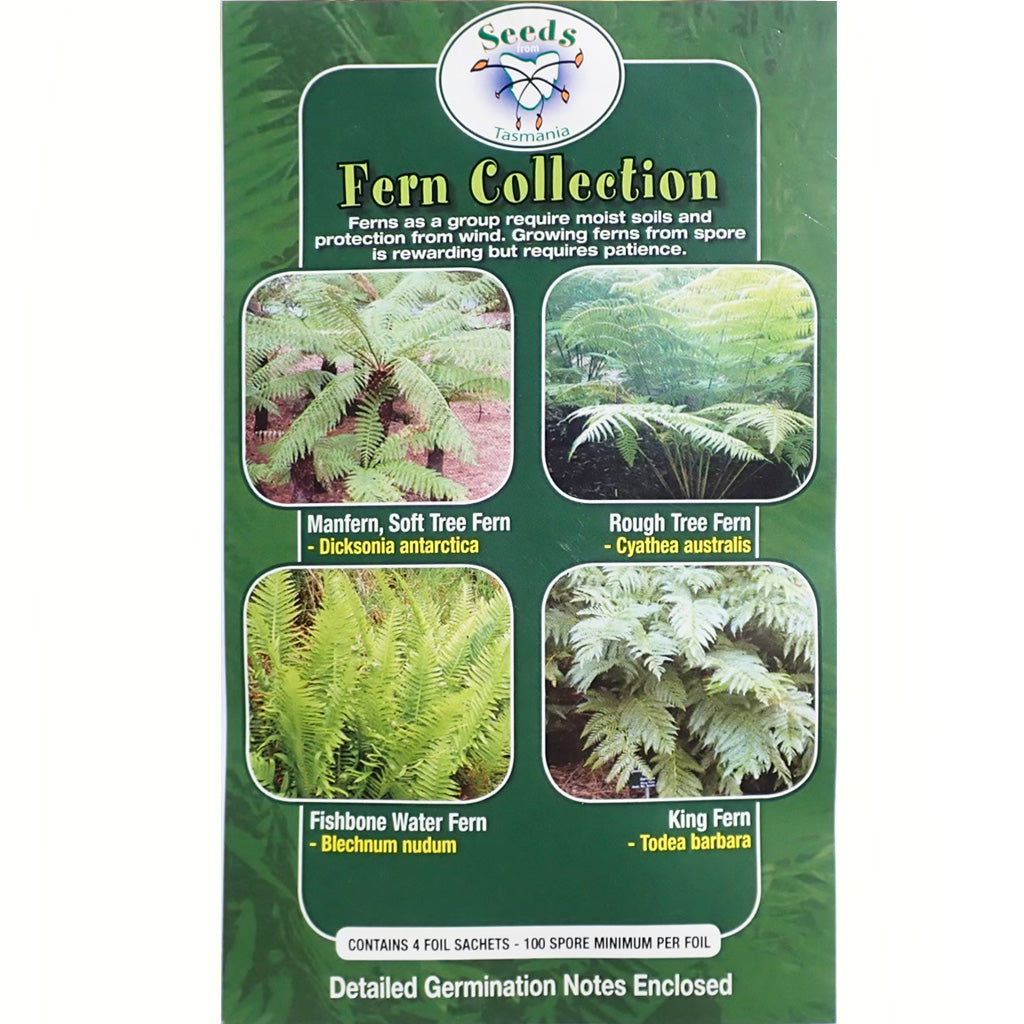 Fern Collection - Seeds - Planet Corroboree
