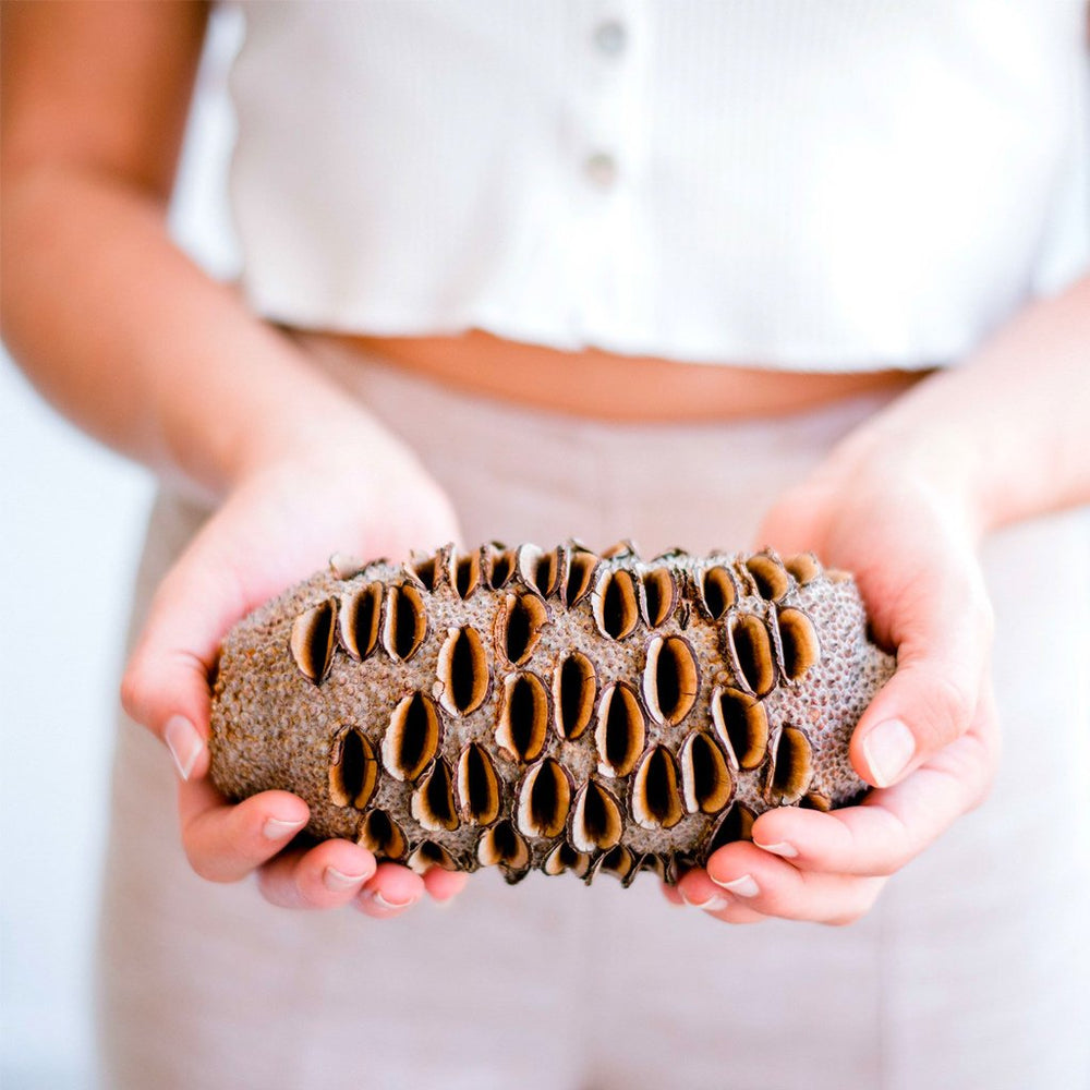 Accessories - Planet Corroboree