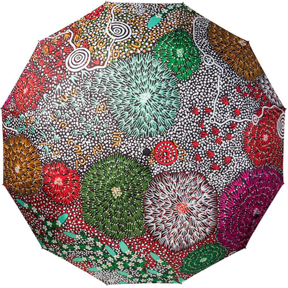 Accessories - Planet Corroboree