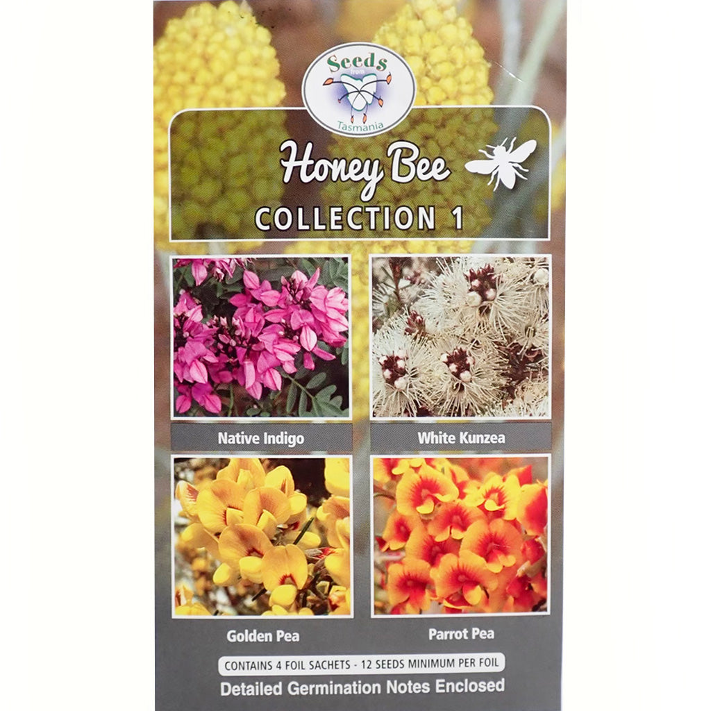 Honey Bee Collection - Seeds - Collection 1 - Planet Corroboree
