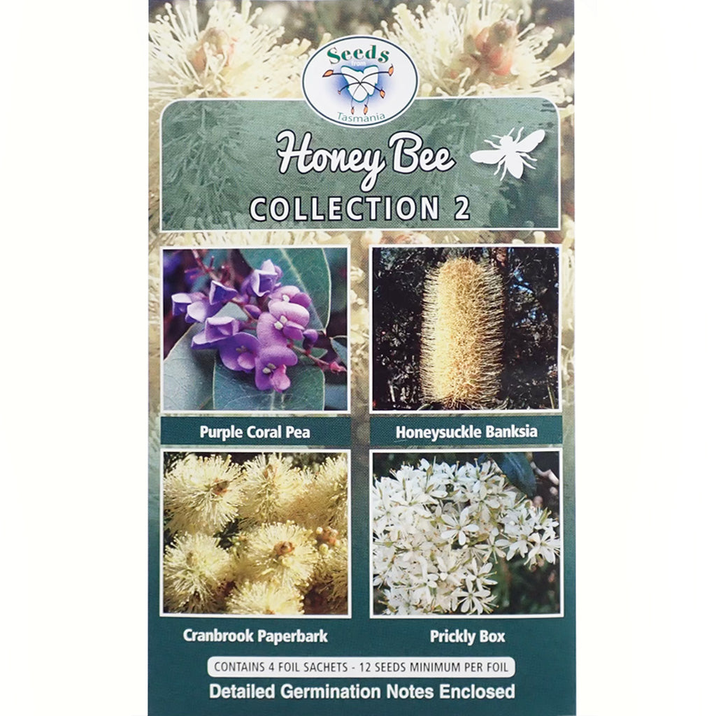 Honey Bee Collection - Seeds - Collection 2 - Planet Corroboree