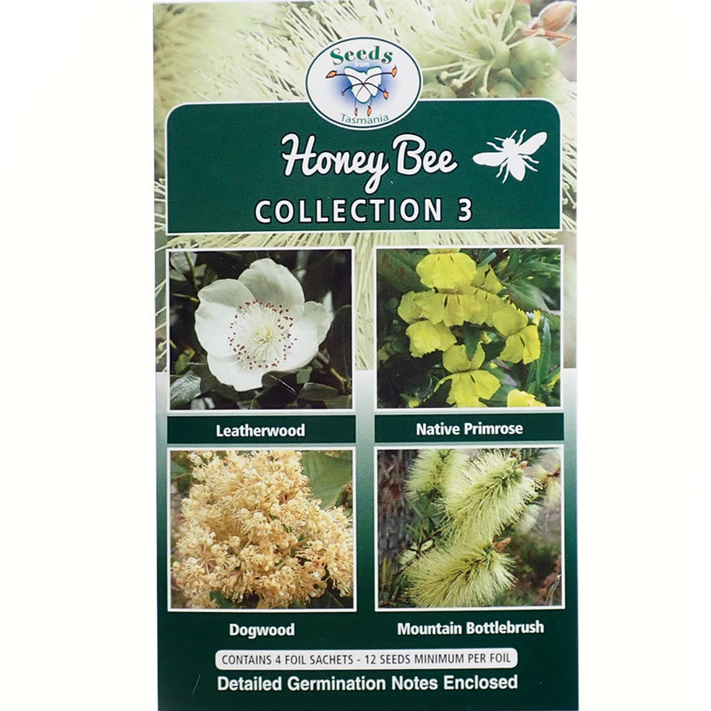 Honey Bee Collection - Seeds - Collection 3 - Planet Corroboree
