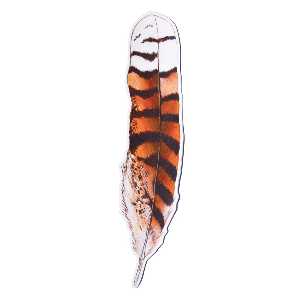 Kookaburra Feather Tattoos Kookaburra Tattoos | TikTok