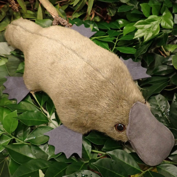 Soft Toy - Platypus - Large - Made in Australia - Planet Corroboree