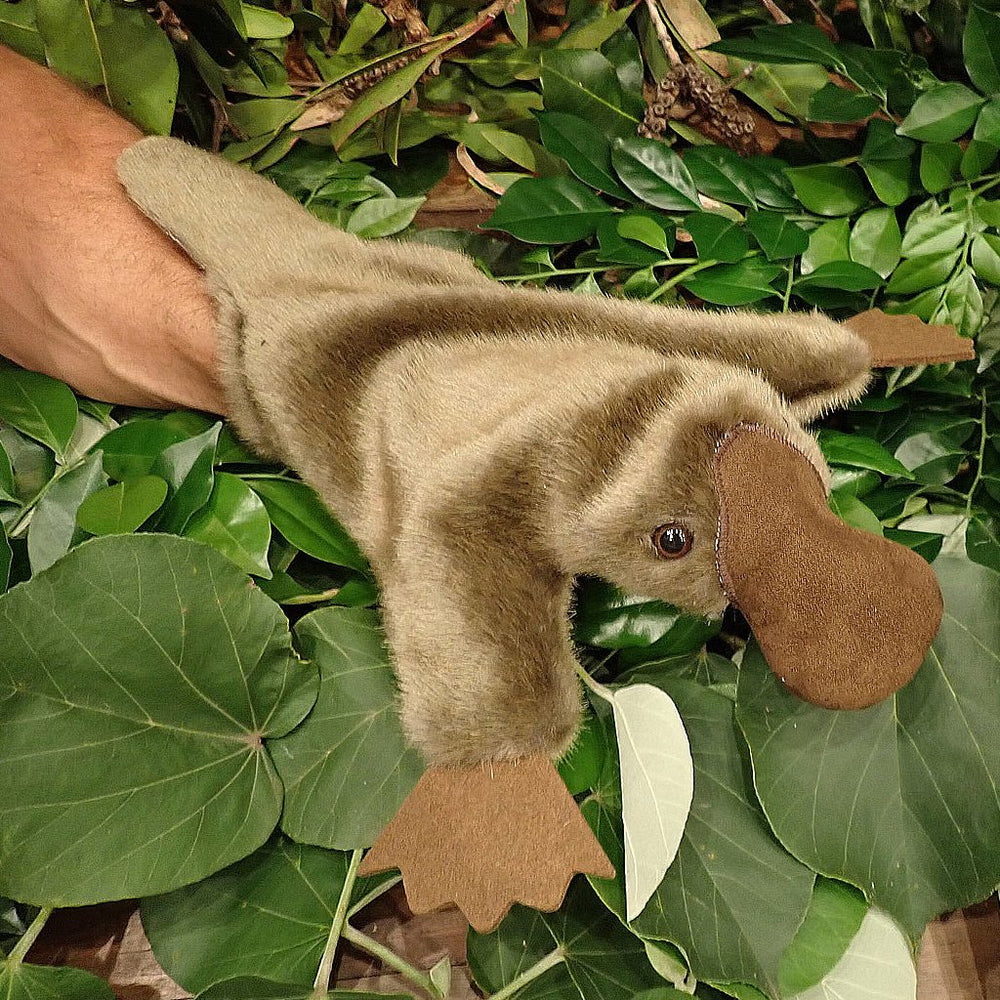 Puppet - Platypus - Made in Australia - Planet Corroboree
