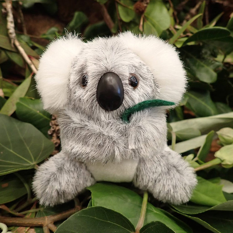Children's Soft Toys - Planet Corroboree