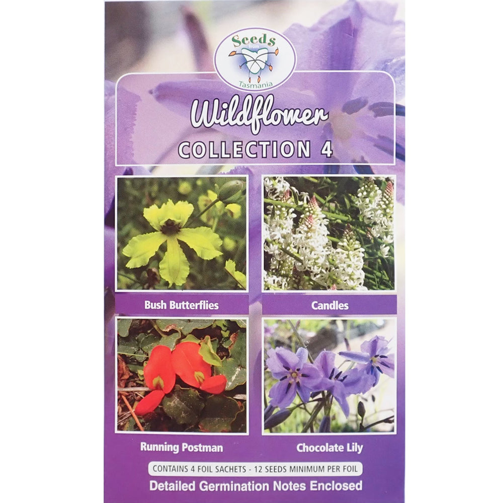 Wildflower Collection - Seeds - Collection 4 - Planet Corroboree