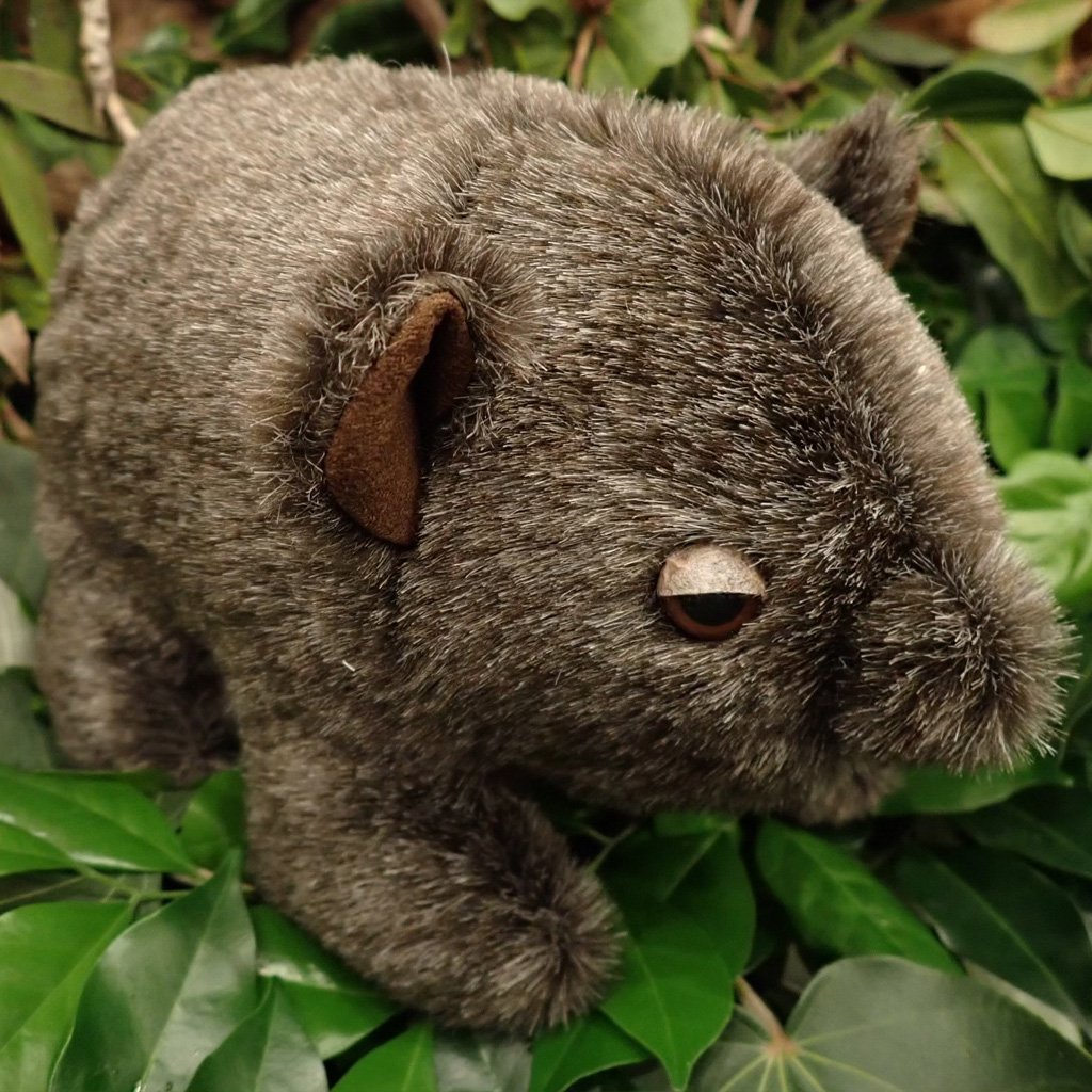 Soft Toy - Wombat - Large - Made in Australia - Planet Corroboree
