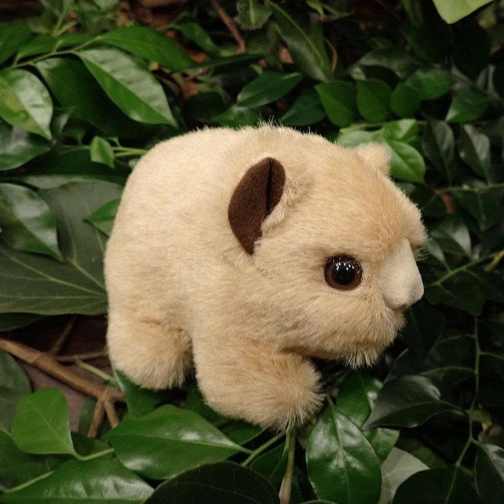 Children's Soft Toys - Planet Corroboree